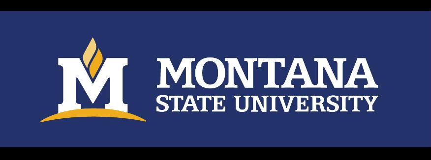 Space Science and Engineering Laboratory - Space Science and ...